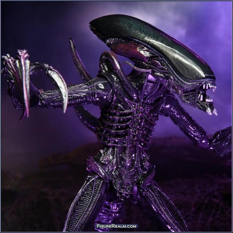 Purple Alien (Movie Deco) - Alien vs Predator Arcade - Basic Series ...