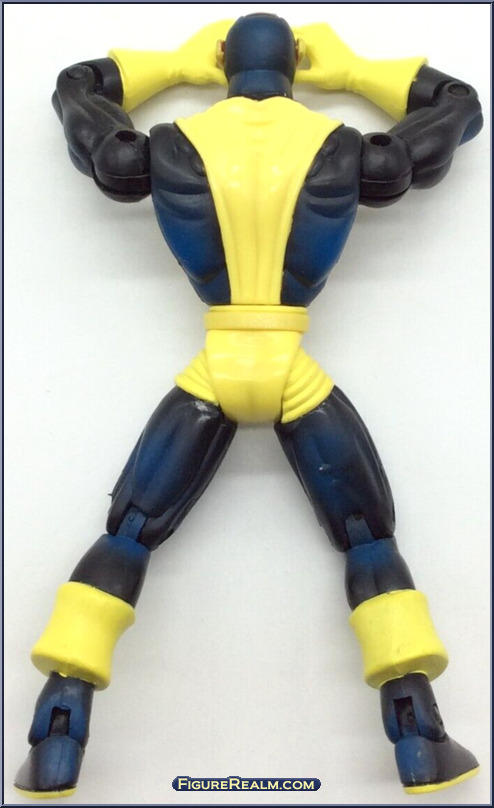 X-Men - Marvel - Collector Editions - Toy Biz Action Figure