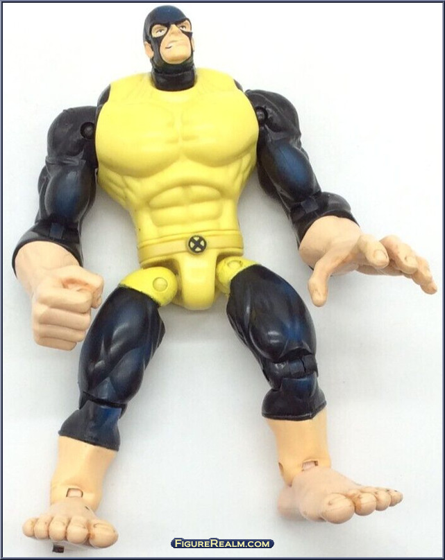 X-Men - Marvel - Collector Editions - Toy Biz Action Figure