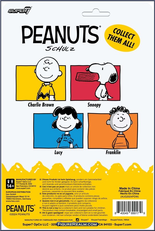 Charlie Brown - Peanuts - Wave 7 - Super7 Action Figure