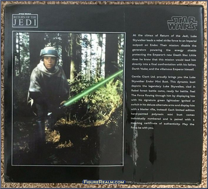 Luke Skywalker (Endor) (Return of the Jedi) - Star Wars - Mini-Busts ...
