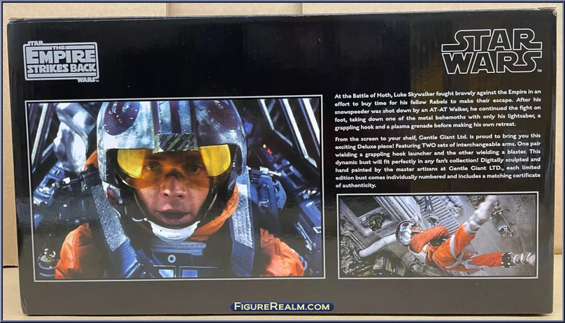 Luke Skywalker (Snowspeeder Pilot) - Star Wars - Mini-Busts - Gentle ...