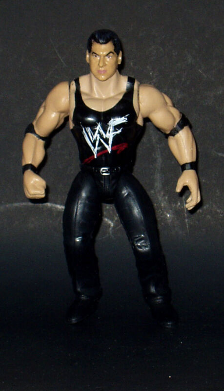 Vince McMahon (Wrestling) Custom Action Figure