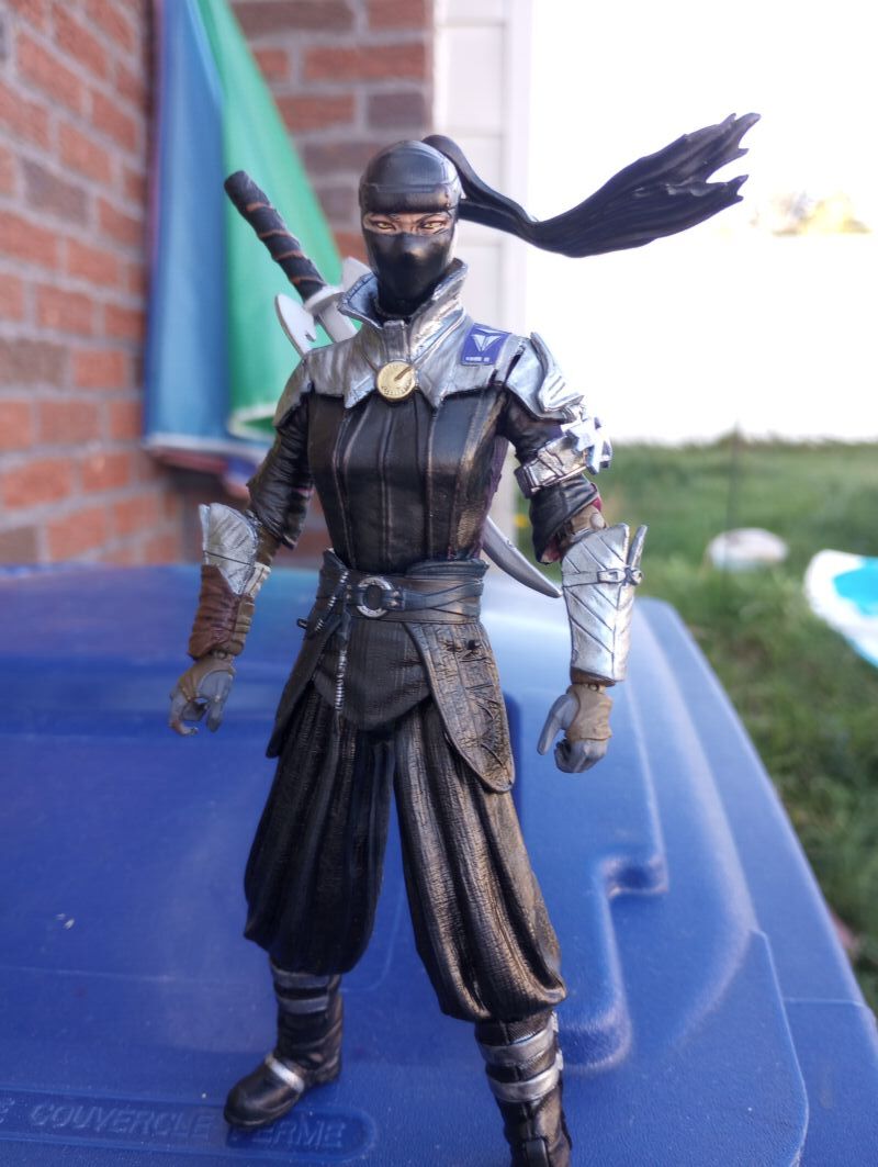 Re-Genderized Shinobi (not canon) (Shinobi) Custom Action Figure