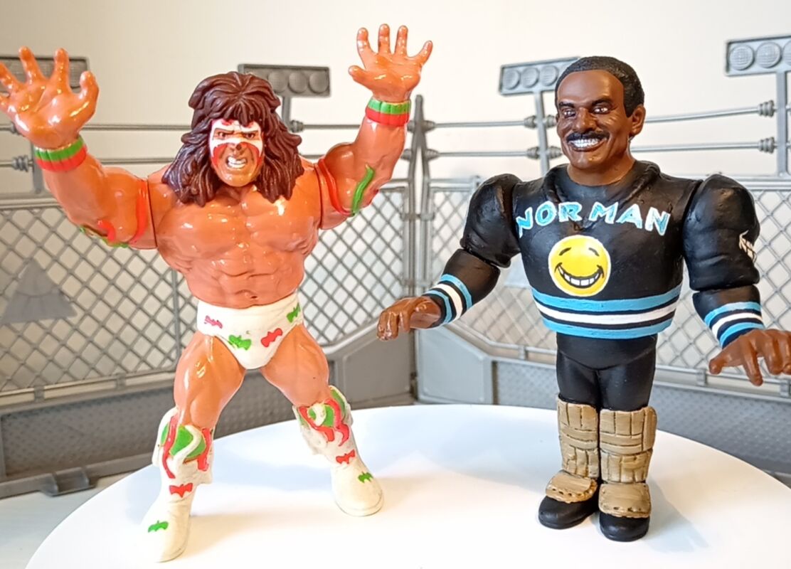 WCW Legend Norman Smiley WWF Retro Hasbro Custom Wrestling Figure (WWE ...