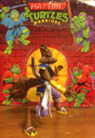 Ninjara (Umeko) (Teenage Mutant Ninja Turtles) Custom Action Figure