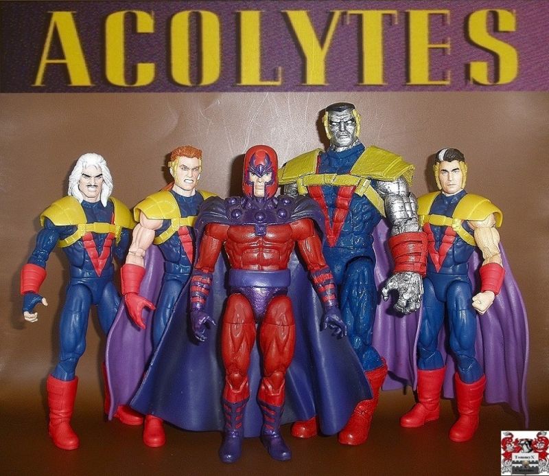 Colossus: Acolyte member (Marvel Legends) Custom Action Figure