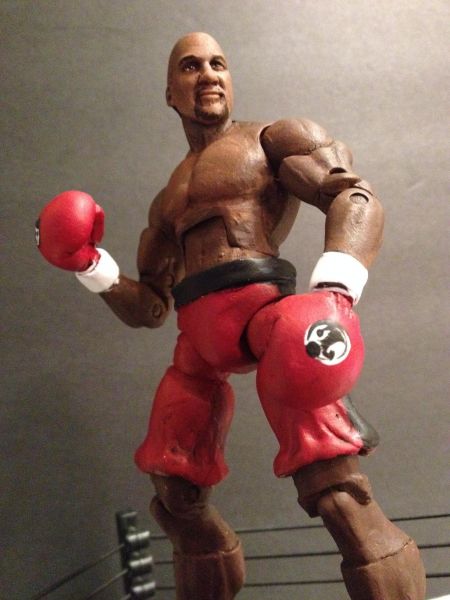 Floyd Mayweather Boxing Custom Action Figure