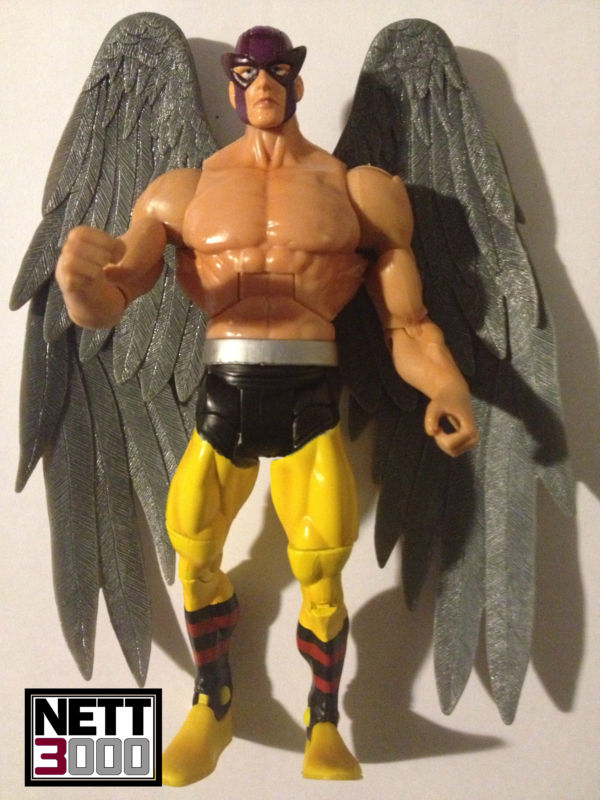 Birdman (DC Universe) Custom Action Figure