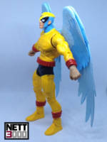 Birdman (DC Universe) Custom Action Figure